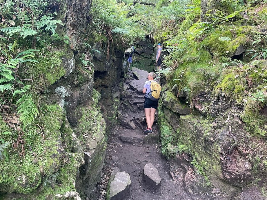 Lud's Church Circular Walk: From the Roaches | PeakDistrict.org