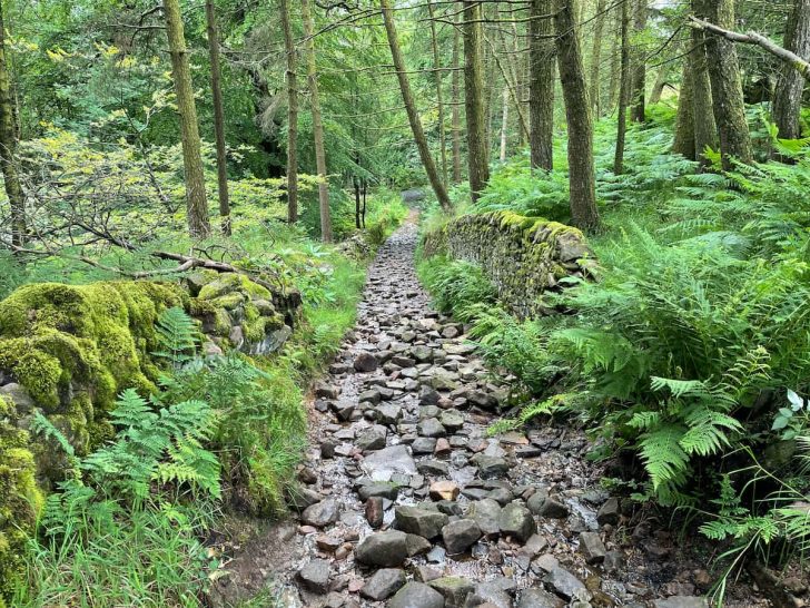 Three Shires Head Walk & Waterfall (7km Circular Route)