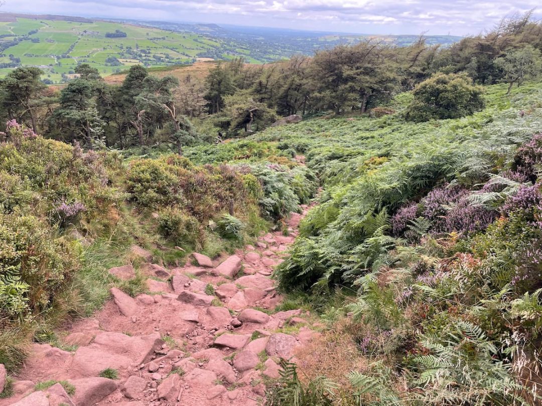 The Roaches Walk (Circular): Leek, Staffordshire | PeakDistrict.org
