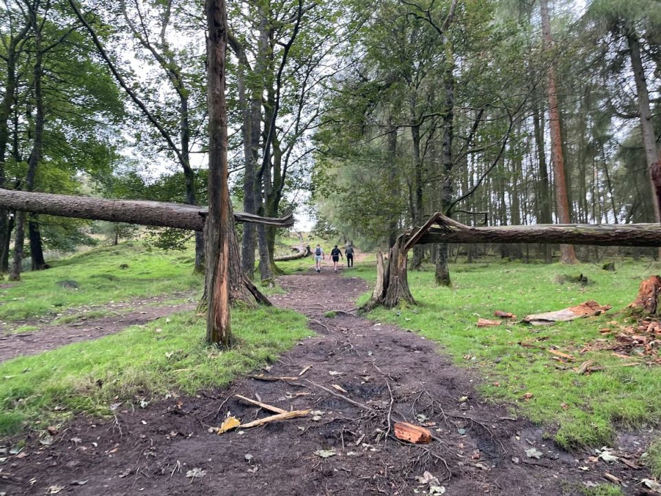 Win Hill Walk: Breathtaking Circular Route - Complete Guide ...