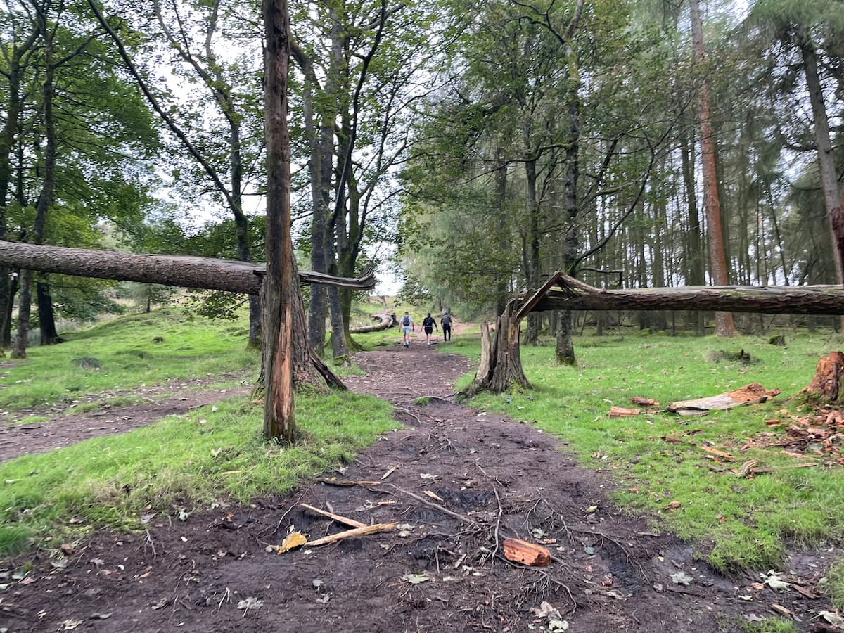 Win Hill Walk: Breathtaking Circular Route - Complete Guide ...