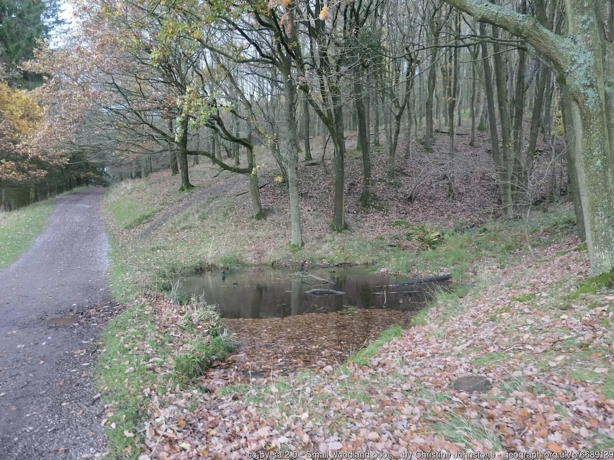 Derwent Dam & Reservoir Walk (Circular - With a Killer View)