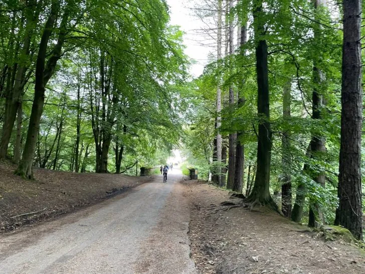 Derwent Dam & Reservoir Walk (Circular - With a Killer View)