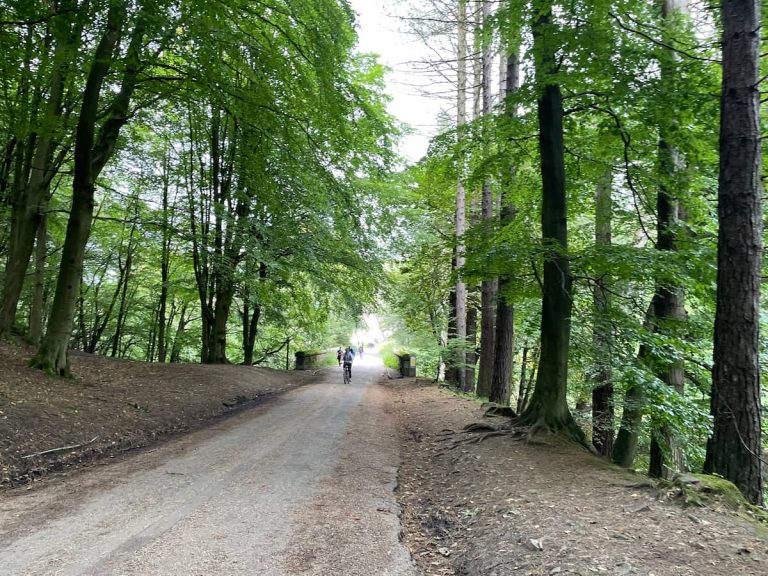 Derwent Dam & Reservoir Walk (Circular - With a Killer View)