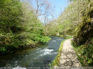 Dovedale Stepping Stones Walk: Visiting Guide (2024) | PeakDistrict.org