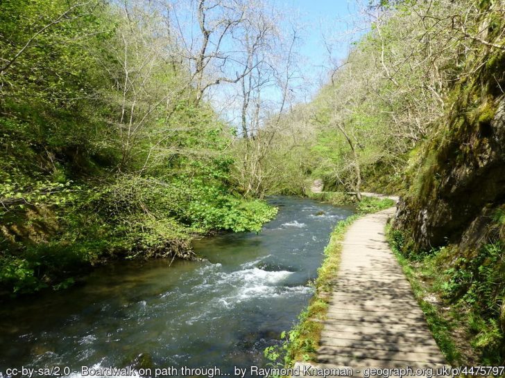 Dovedale Stepping Stones Walk: Visiting Guide (2024) | PeakDistrict.org