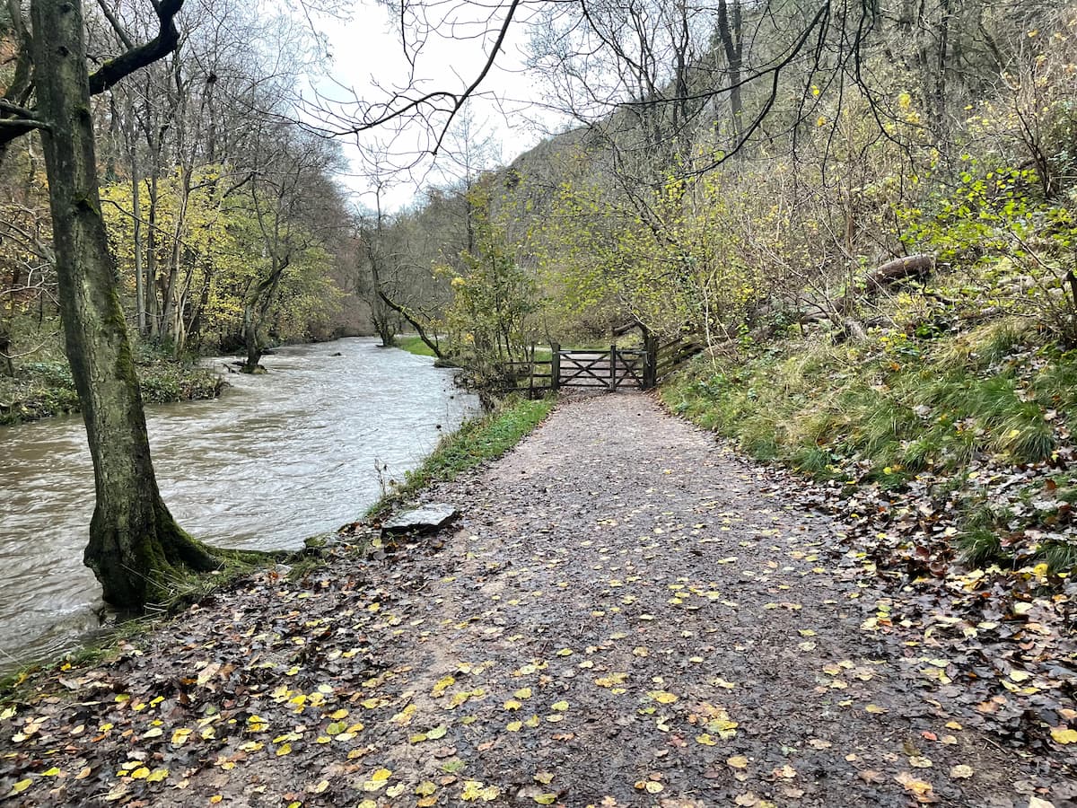 Dovedale Stepping Stones Walk: Visiting Guide (2024) | PeakDistrict.org