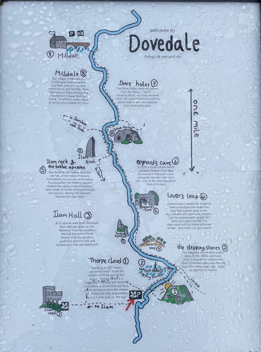 Dovedale Stepping Stones Walk: Visiting Guide (2024) | PeakDistrict.org
