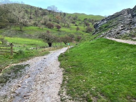 Thorpe Cloud Walk, Dovedale (Circular): Visiting Guide 2025
