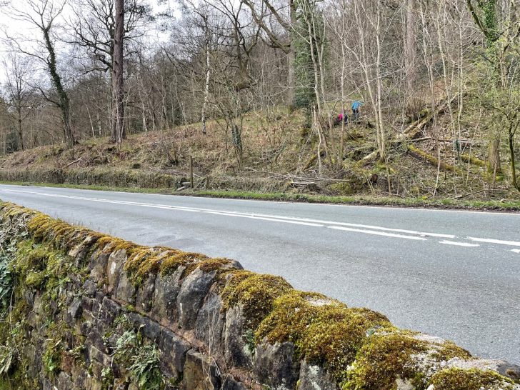 Longshaw Estate & Padley Gorge Walk (Circular) | PeakDistrict.org