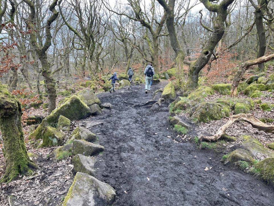 Longshaw Estate & Padley Gorge Walk (Circular) | PeakDistrict.org