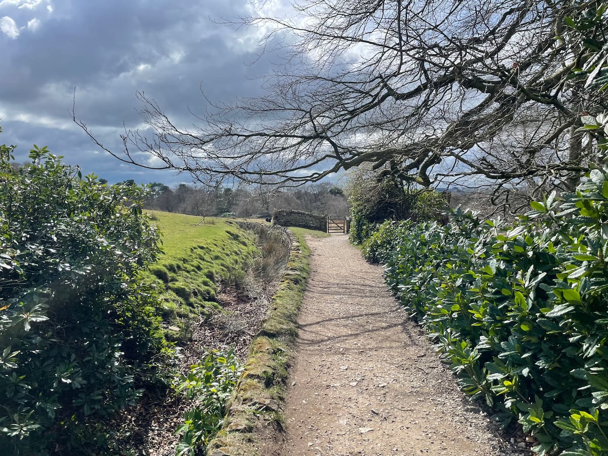 Longshaw Estate & Padley Gorge Walk (Circular) | PeakDistrict.org